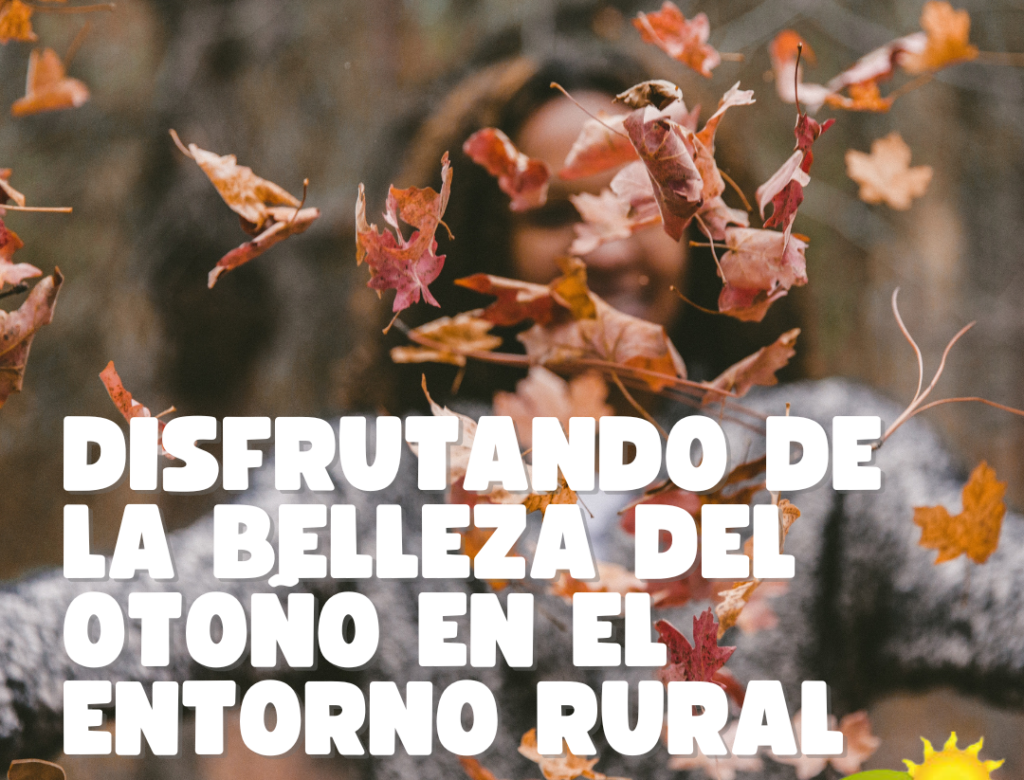 Cinco Soles Rural | Disfrutando de la belleza del otoño en el entorno rural